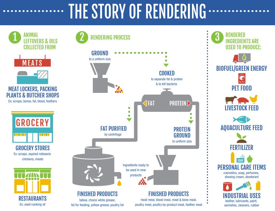 How Rendering Works Boiling Down The Invisible Industry Drovers 